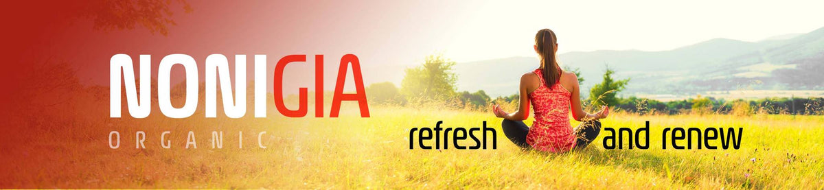 An In-Depth Summary of Noni GIA and the Noni Fruit – BUYBHIP.com